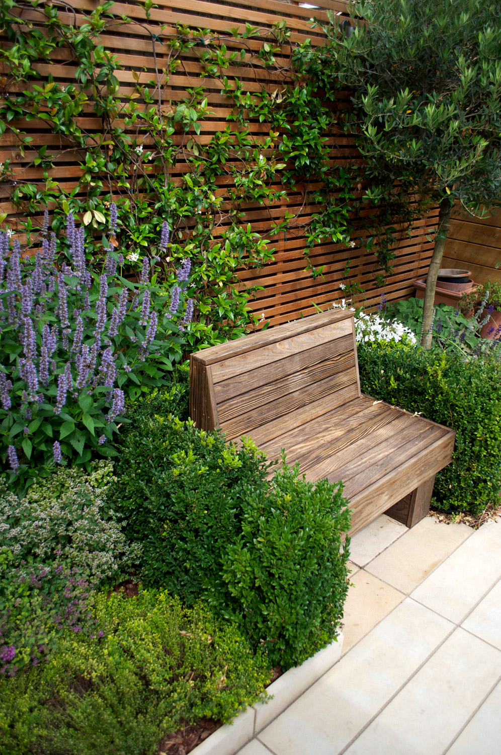 Landscape design for small gardens, by professional landscapers Landspace.